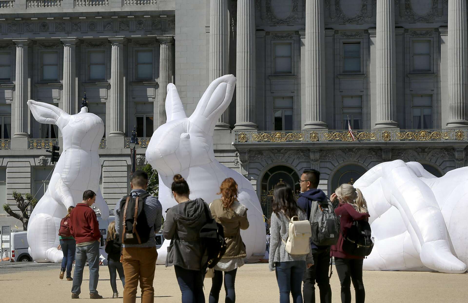 Giant bunnies a protected species at SF City Hall