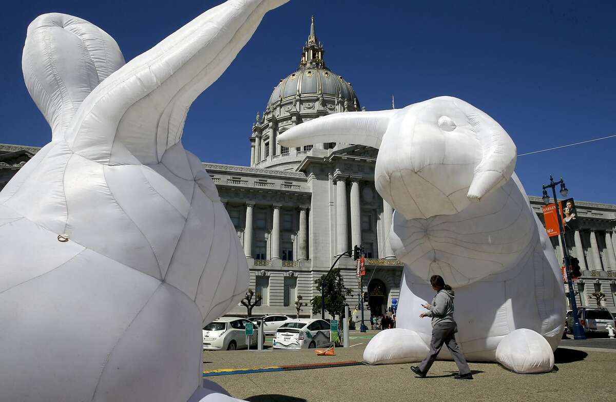 Giant bunnies a protected species at SF City Hall