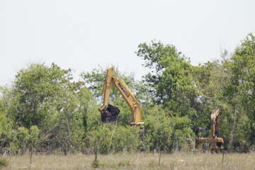 The William Lewis Reece case explained