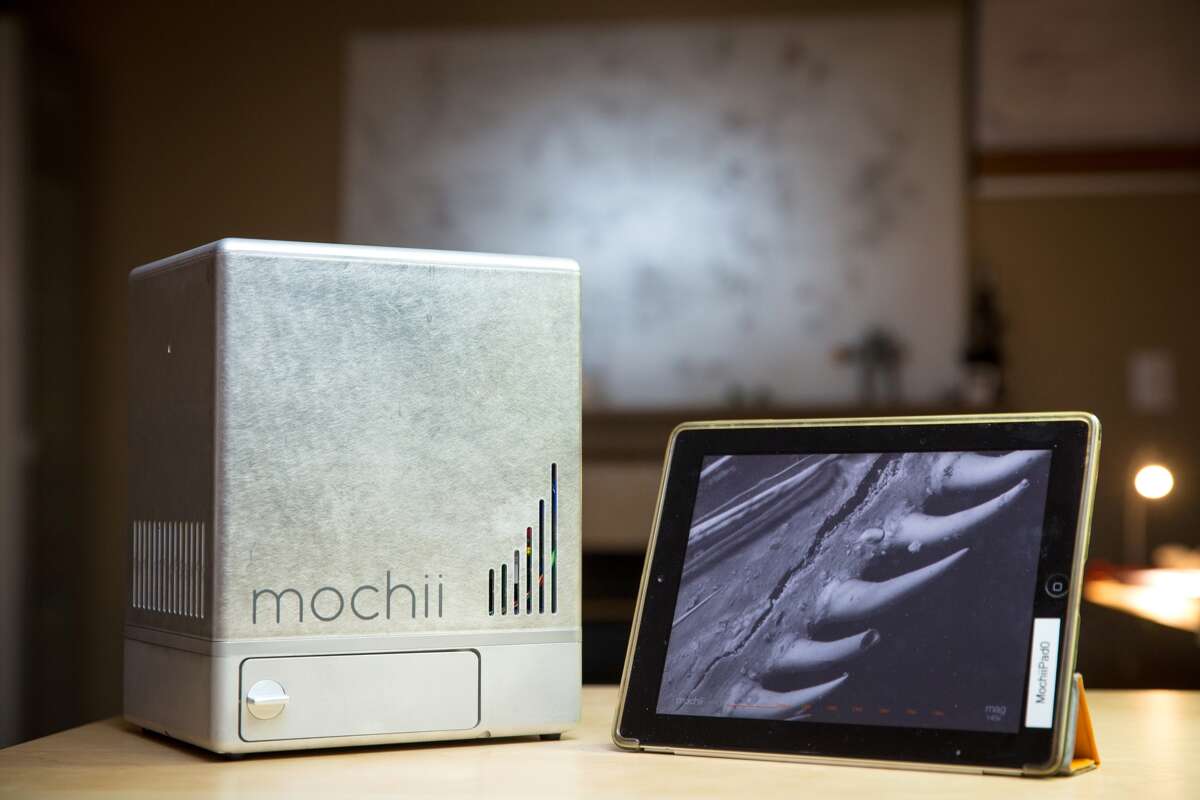 Northwest icons under the microscope