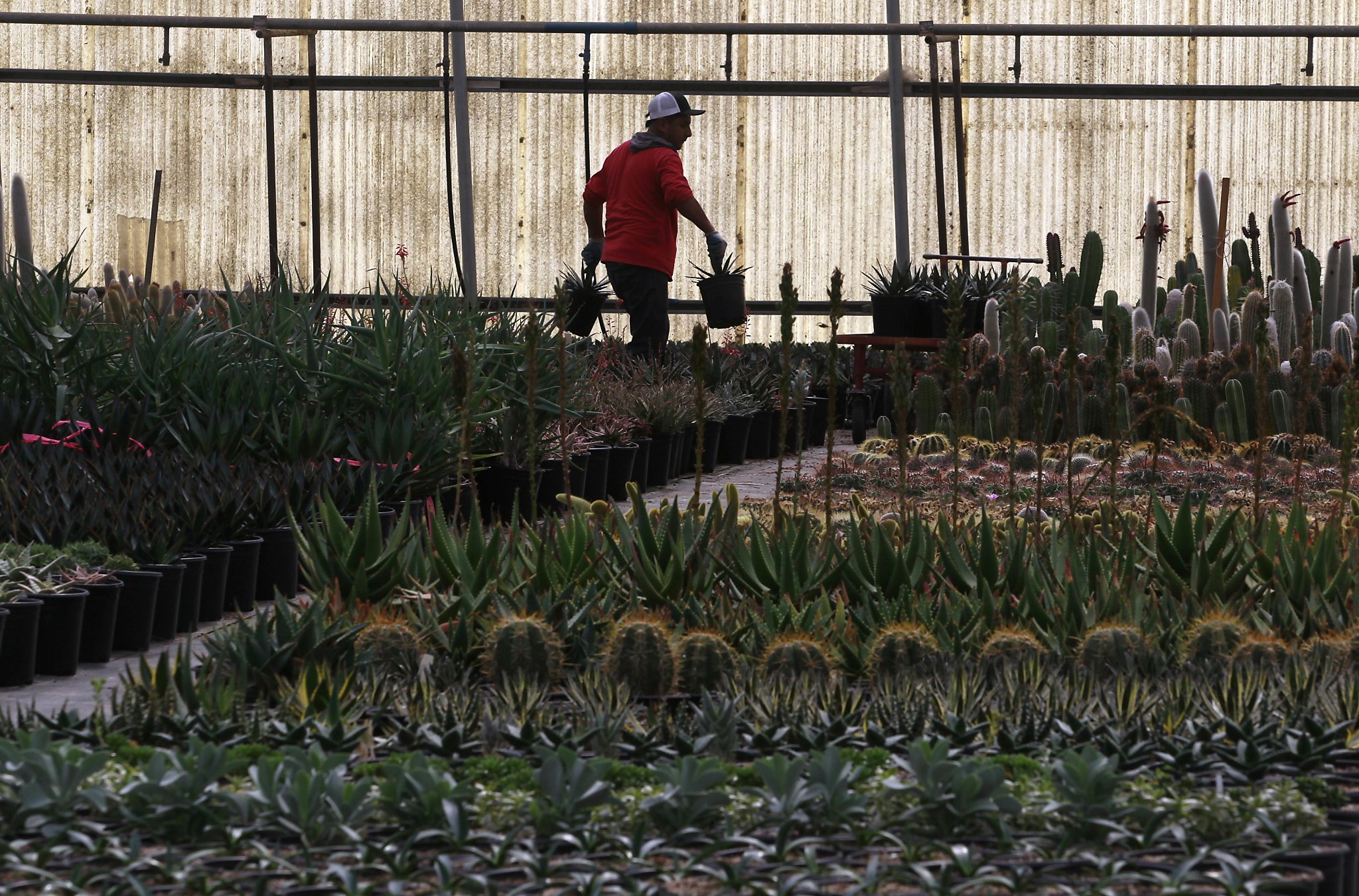 How we did: A California drought report card
