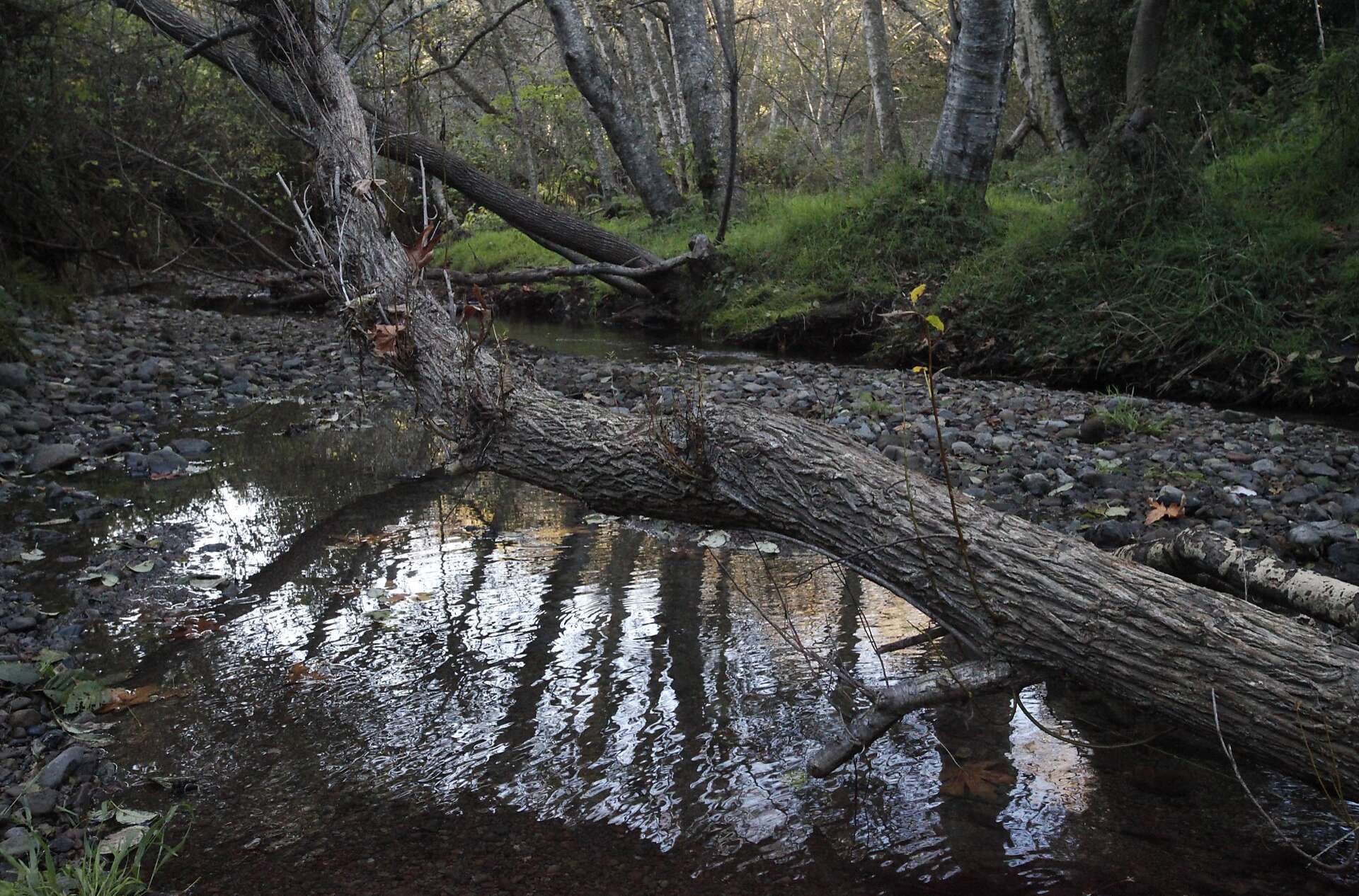 How we did: A California drought report card