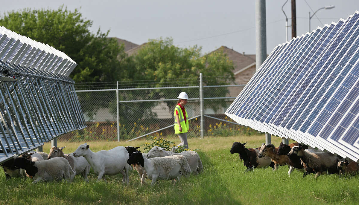 OCI sells Alamo 6 solar farm for $385 million