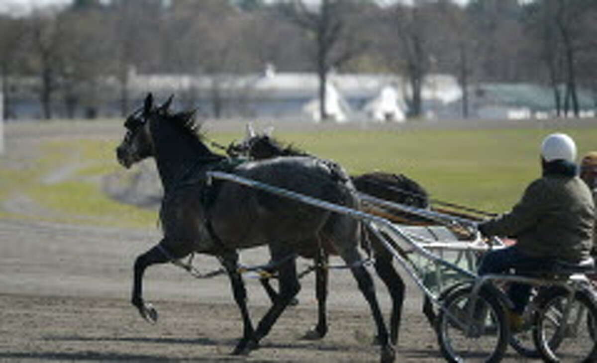 NY suspends 6 harness horse trainers