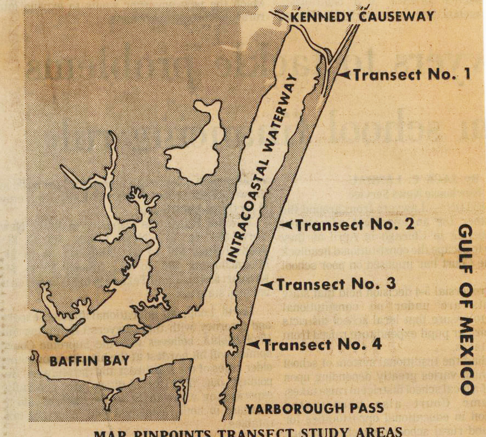 15 fascinating facts to know about the Padre Island National Seashore ...