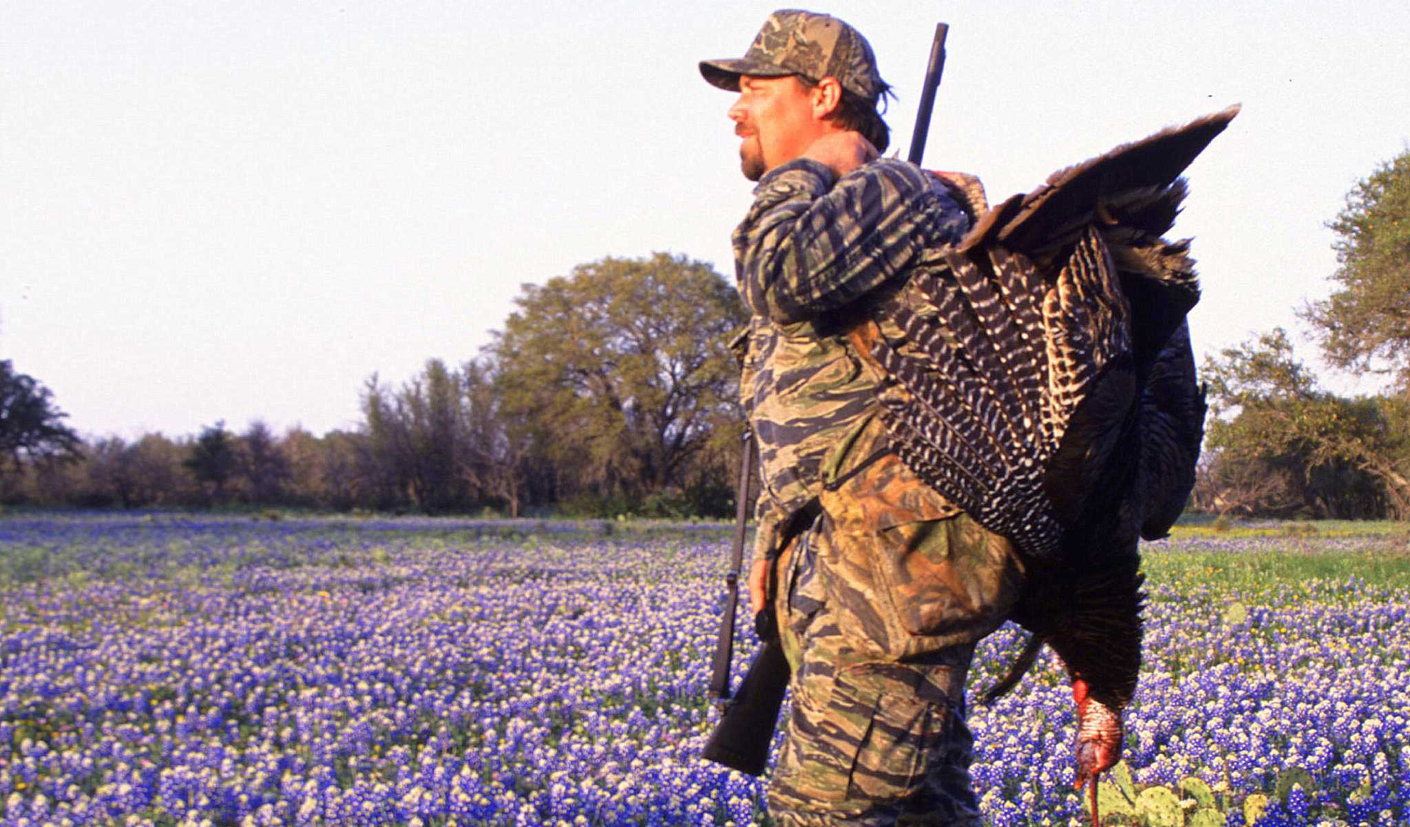 Connecticut's turkey season still going strong just in time for holidays