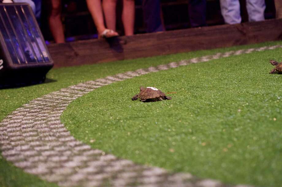 Photos: Little Woodrow’s pub brings turtle races and Karbach to San ...