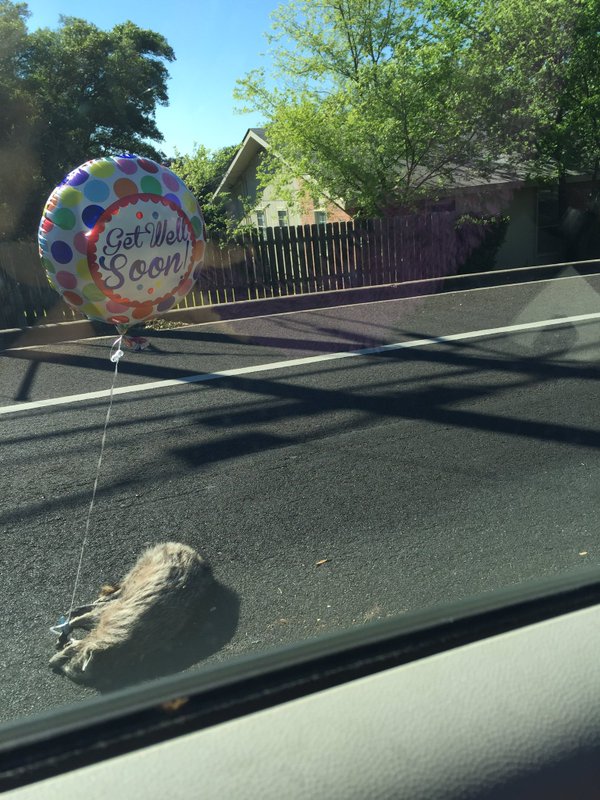 San Marcos residents partake in terrible trend of tying 'get well ...
