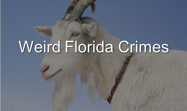 Judge says woman has to pay for exploding corpse