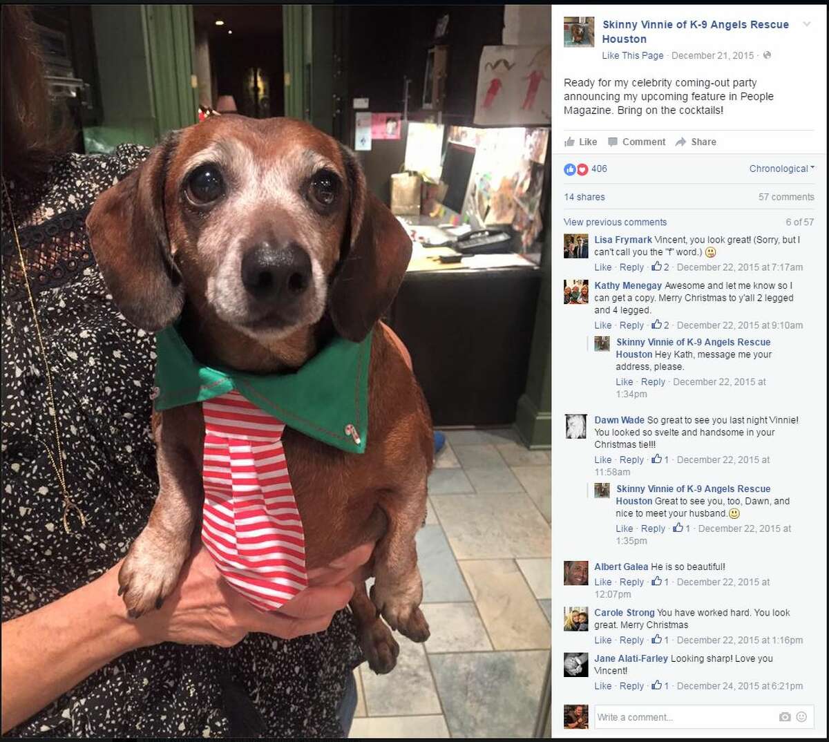 Houston dachshund known as fat Vincent is now ‘skinny Vinnie’ after ...