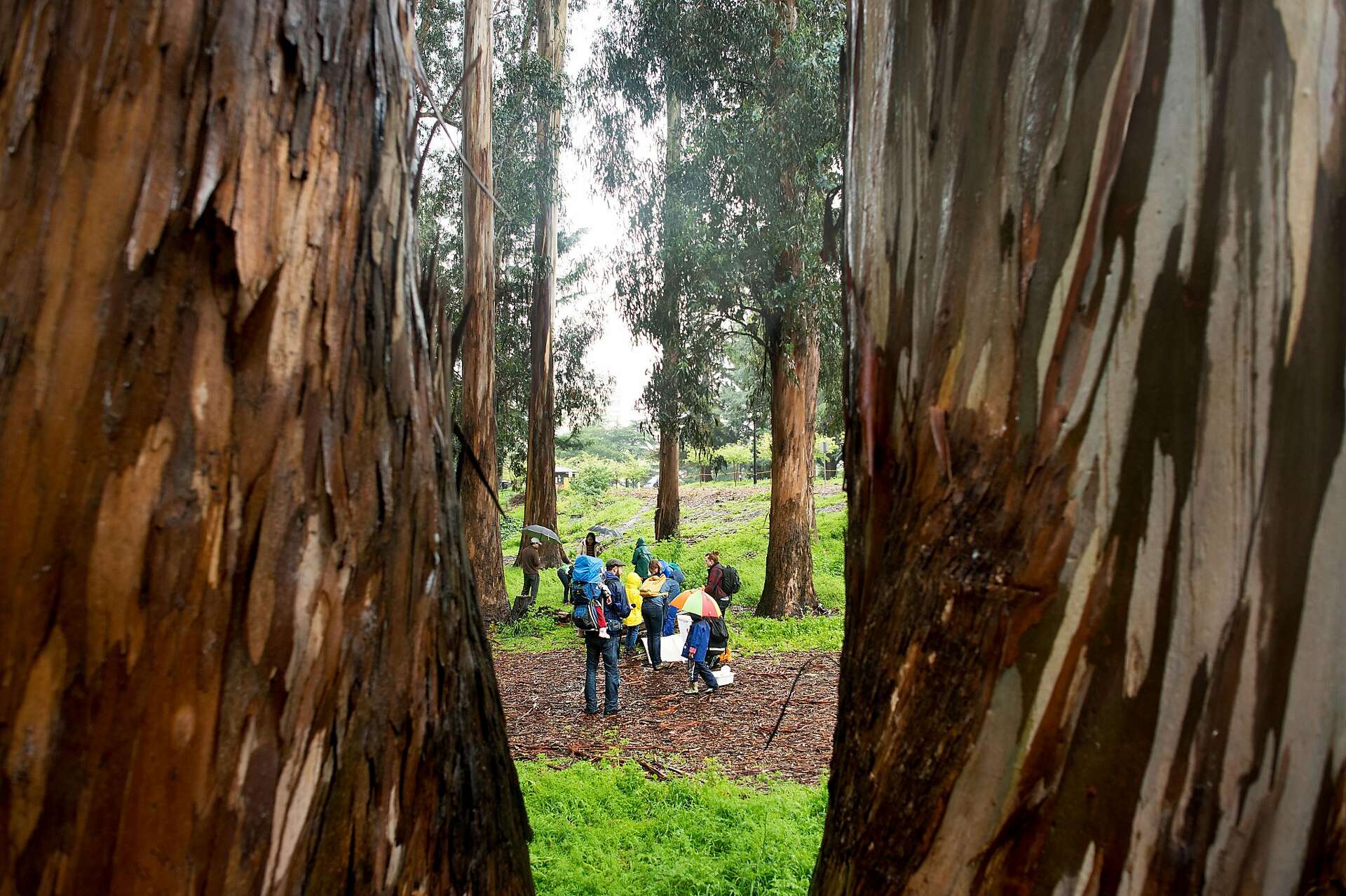 Kids get a chance to meet nature at UC’s BioBlitz