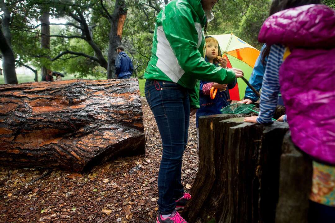 Kids get a chance to meet nature at UC’s BioBlitz