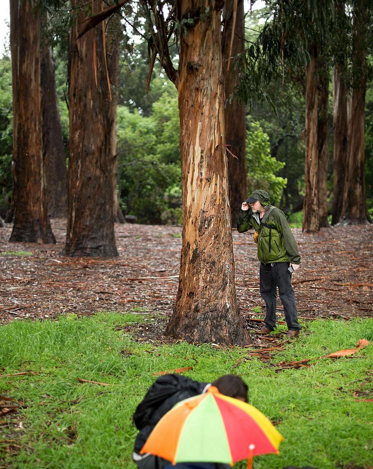 Kids get a chance to meet nature at UC’s BioBlitz