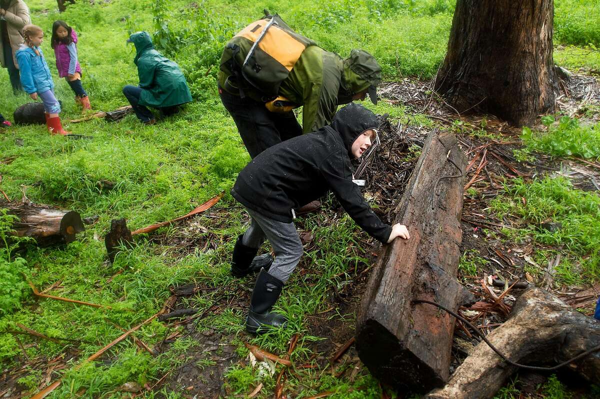 Kids get a chance to meet nature at UC’s BioBlitz