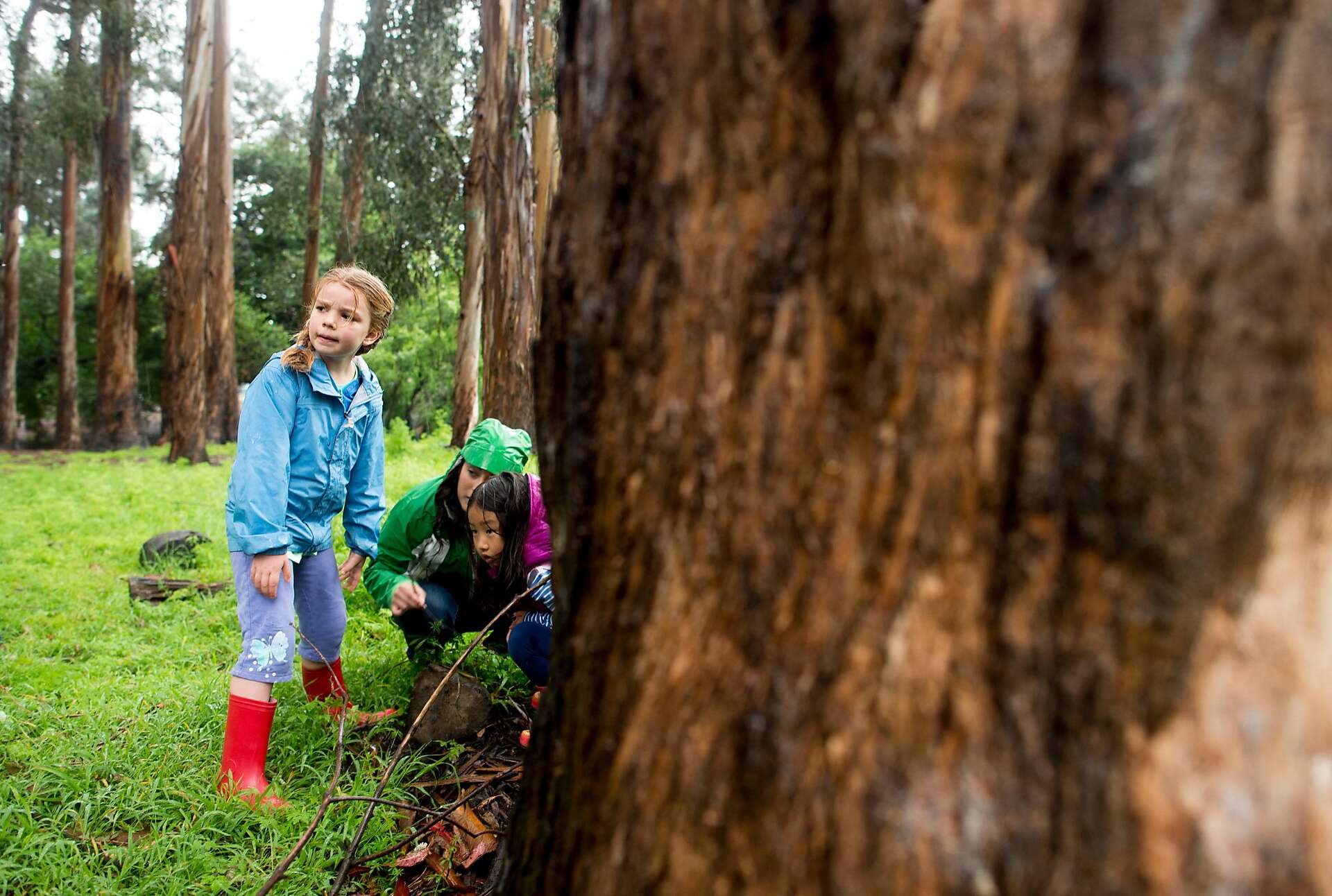 Kids get a chance to meet nature at UC’s BioBlitz