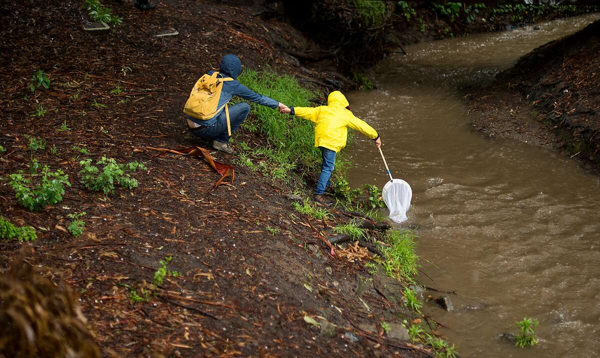 Kids get a chance to meet nature at UC’s BioBlitz