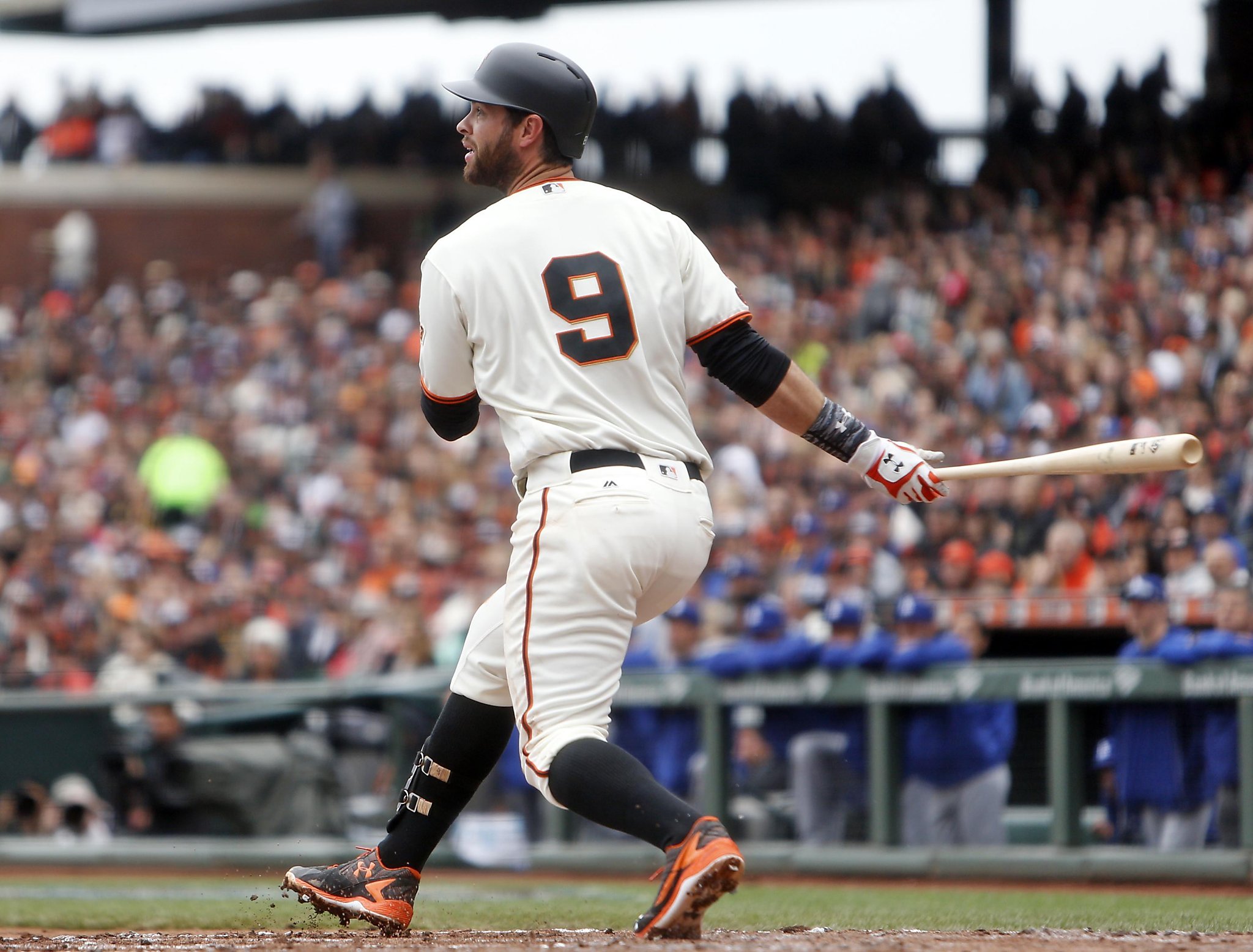 Who will bring the lumber for the San Francisco Giants?