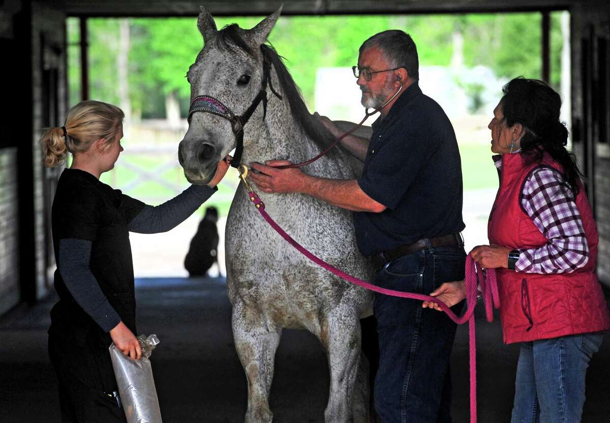 Hiring a veterinarian proves difficult in rural areas