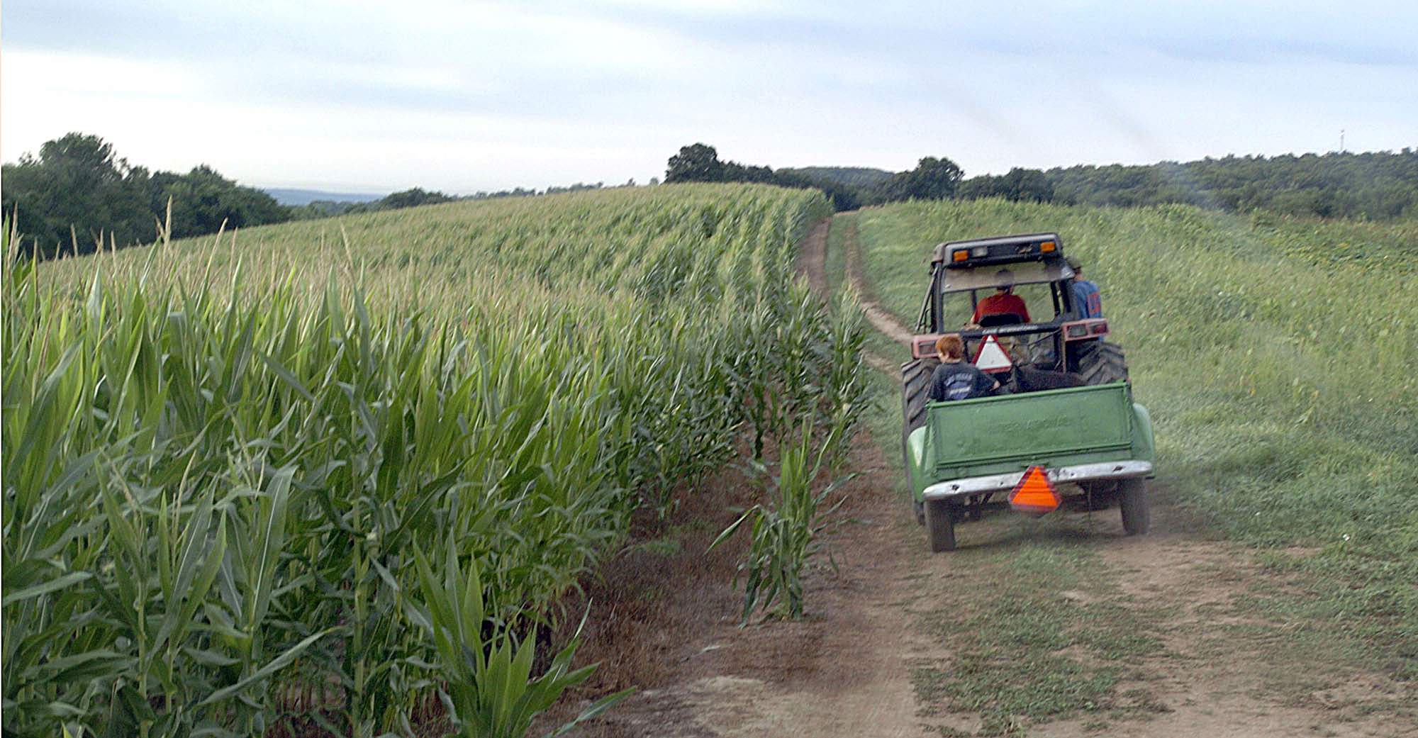 Farmers get biggest U.S. subsidy check in decade as prices drop