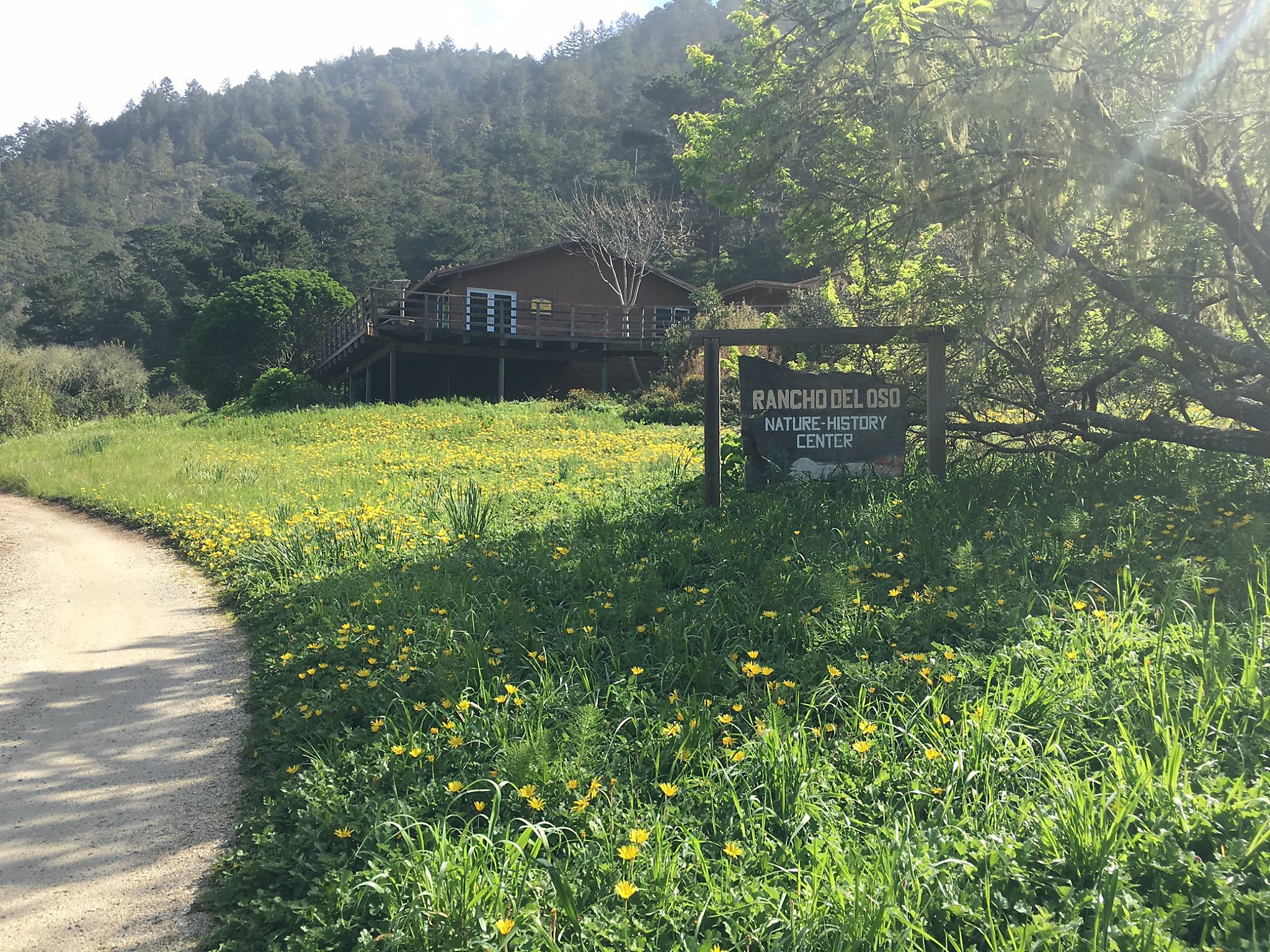 A burst of wildflowers on display at Rancho del Oso