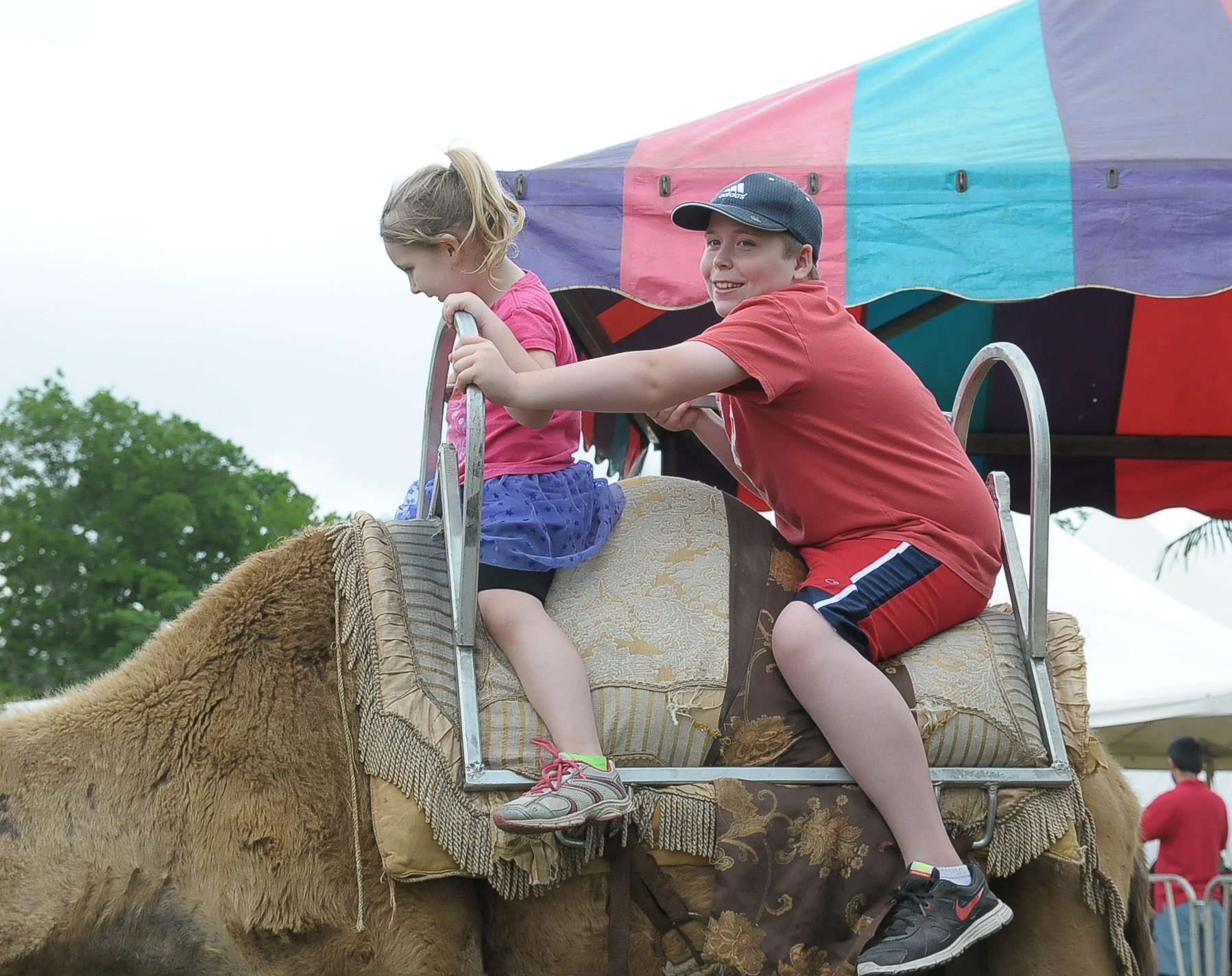 Nature Fest highlights to include animal show