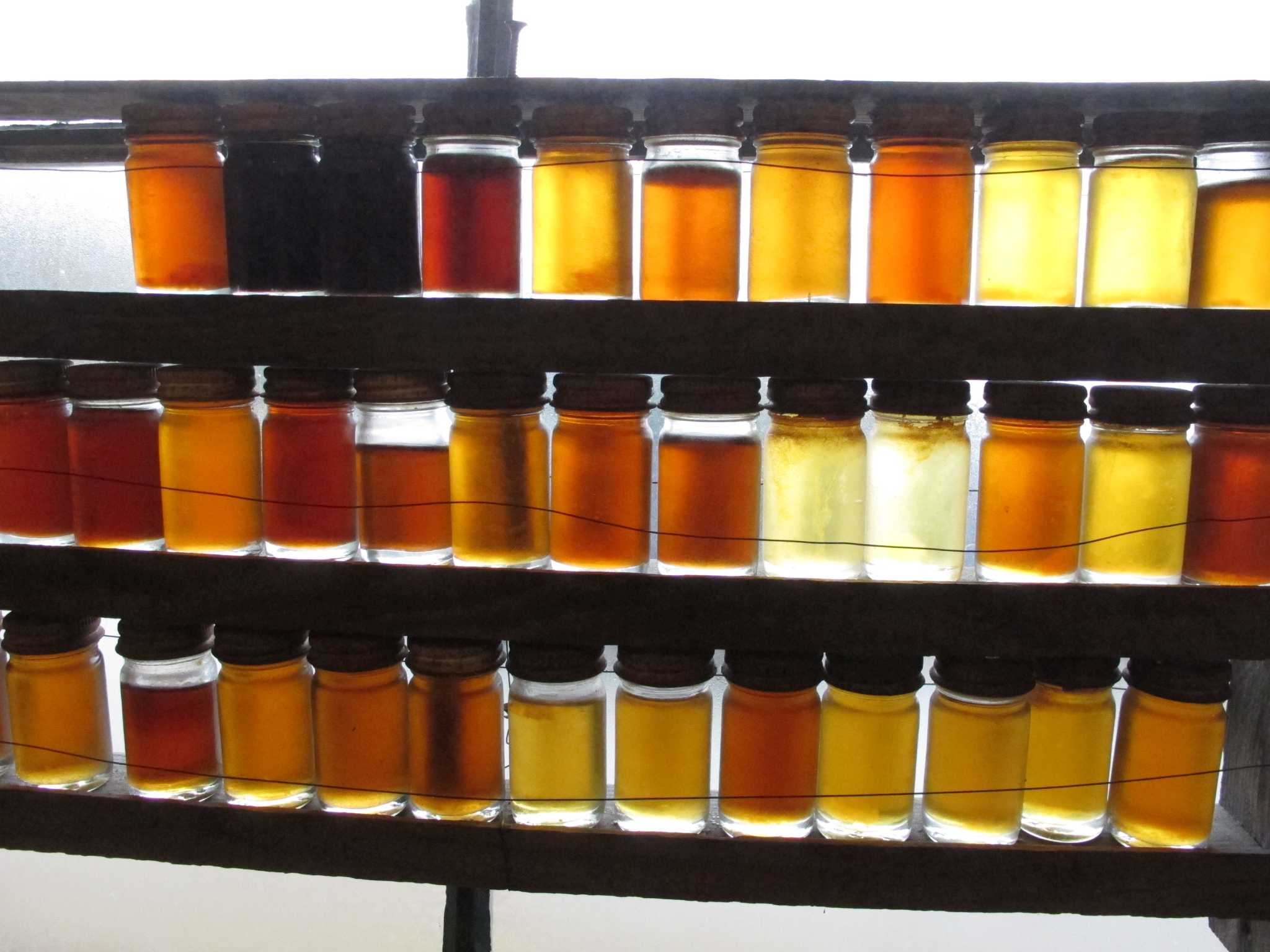 Maple syrup thefts prompt call to action