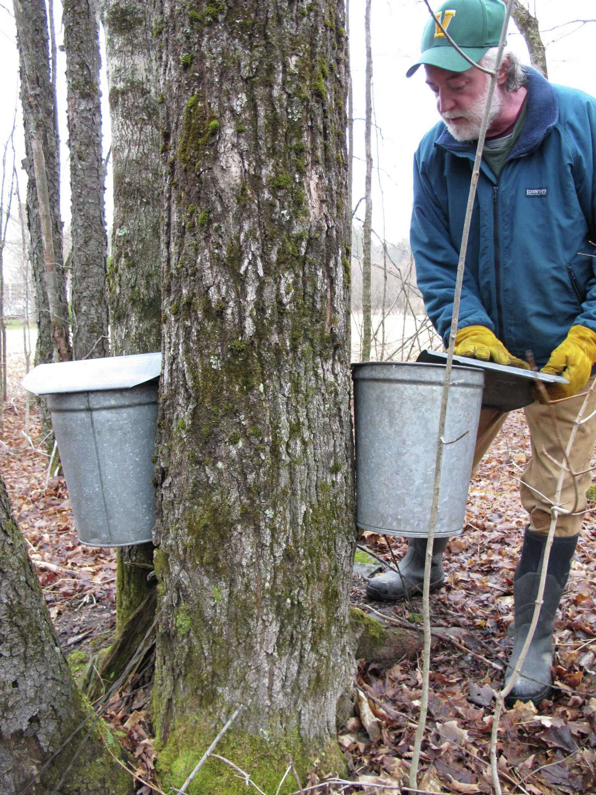 Maple syrup thefts prompt call to action