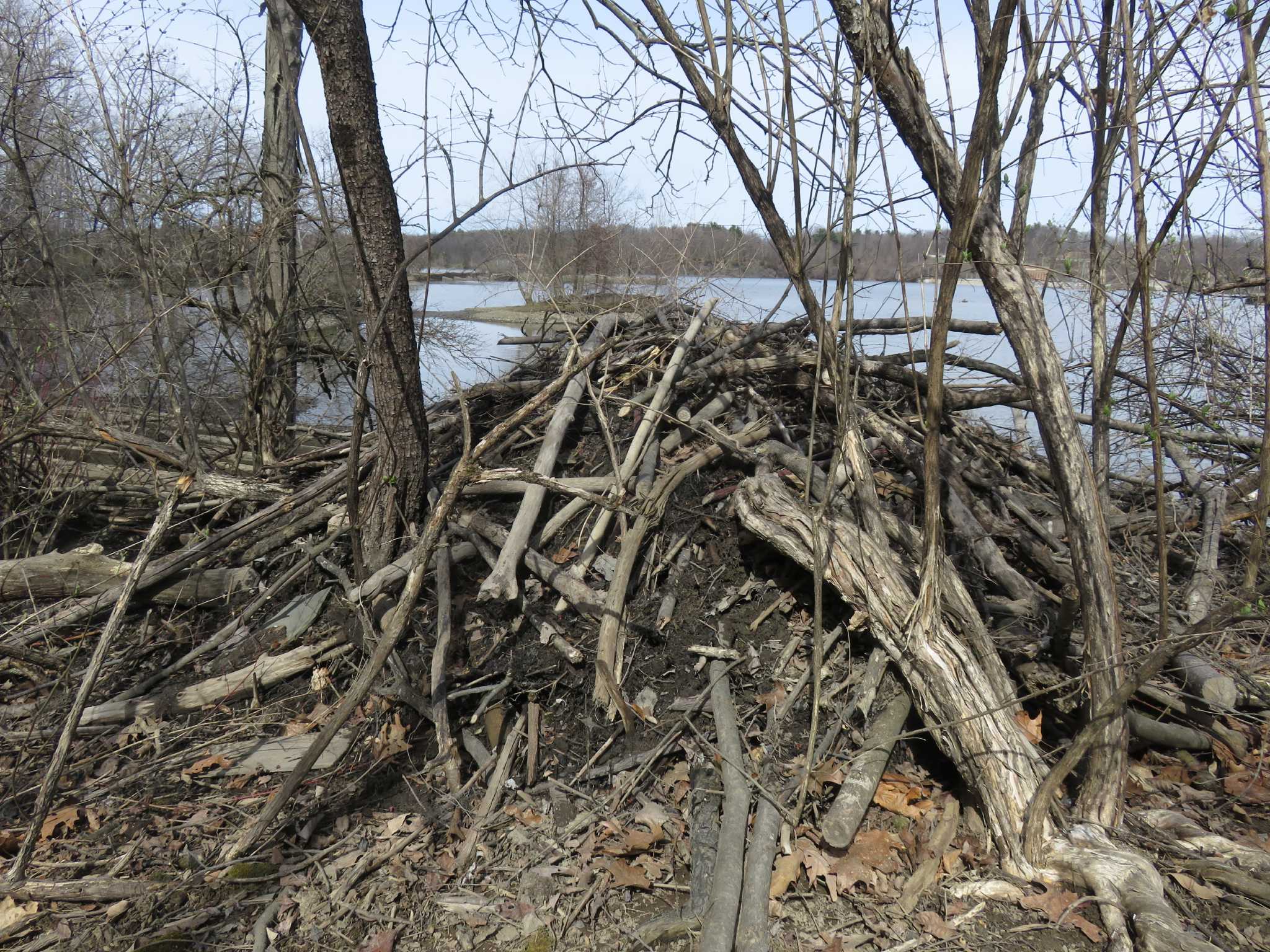 Outdoors: Mohawk River adventure a worthwhile trip