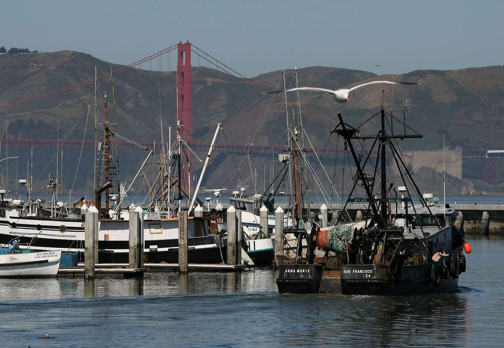 California salmon season cuts planned to protect struggling fish