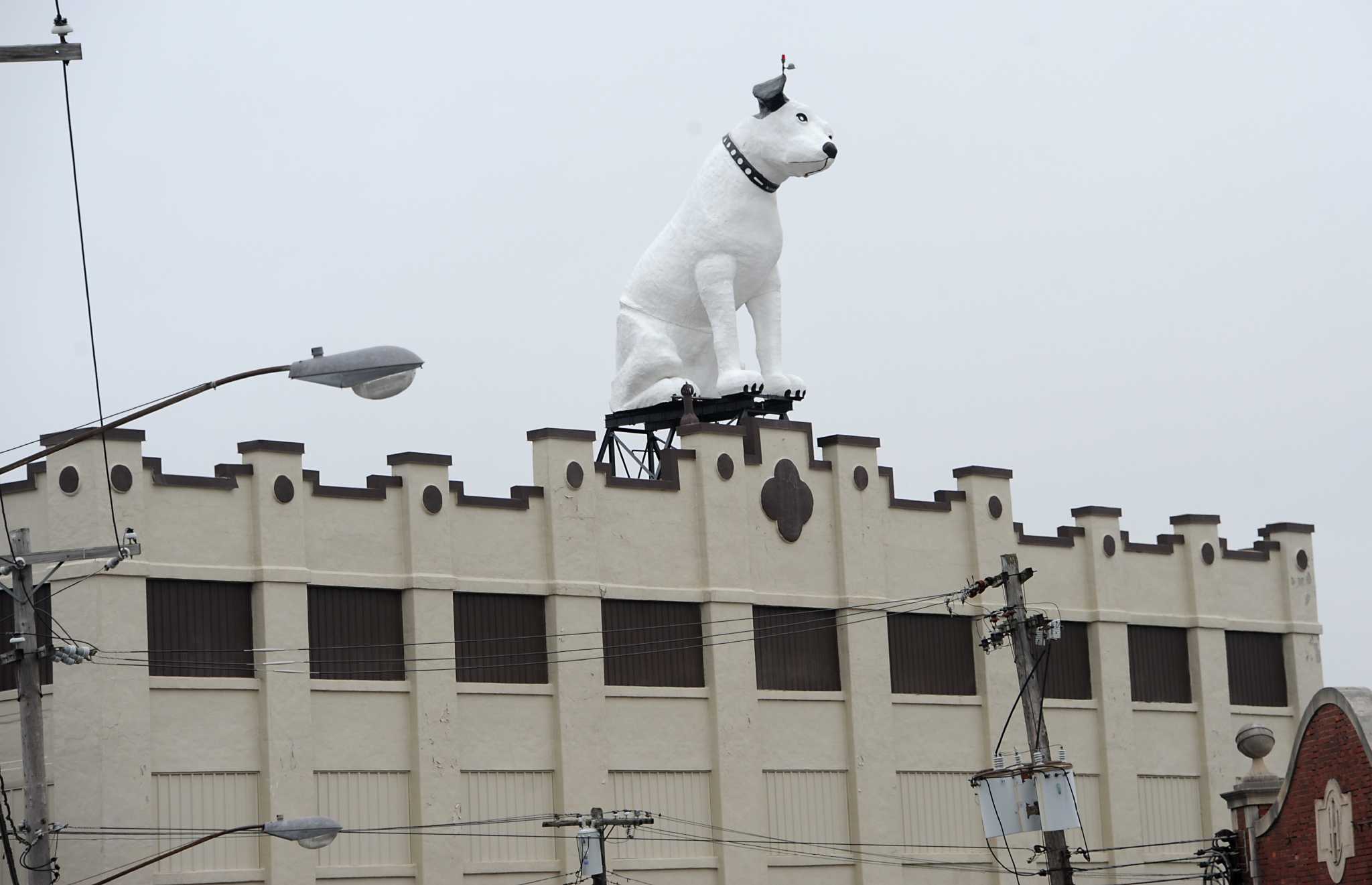 Albany's Nipper building redo part of $70 million plan