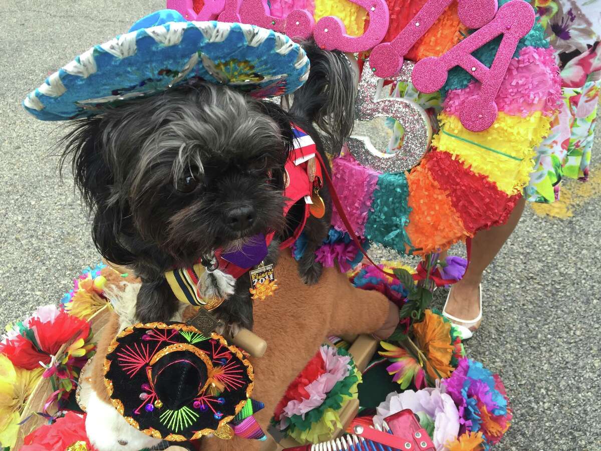 10 pet-friendly events to check out during Fiesta 2017