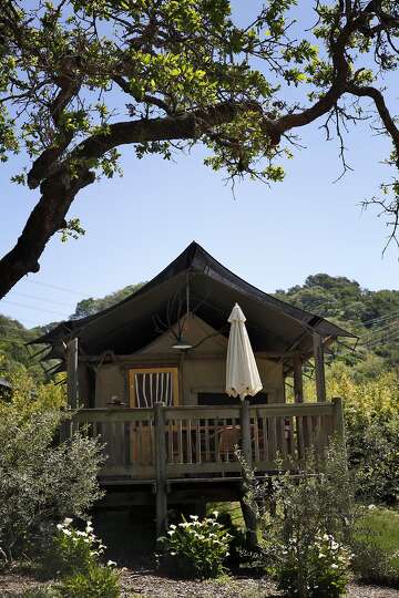 At Safari West, see African animals without airfare