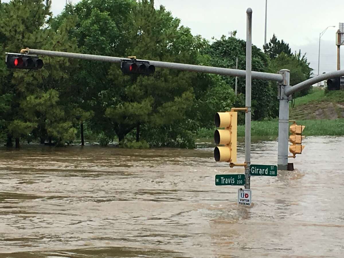 Photos: Animals swamped in Houston flood April 18, 2016