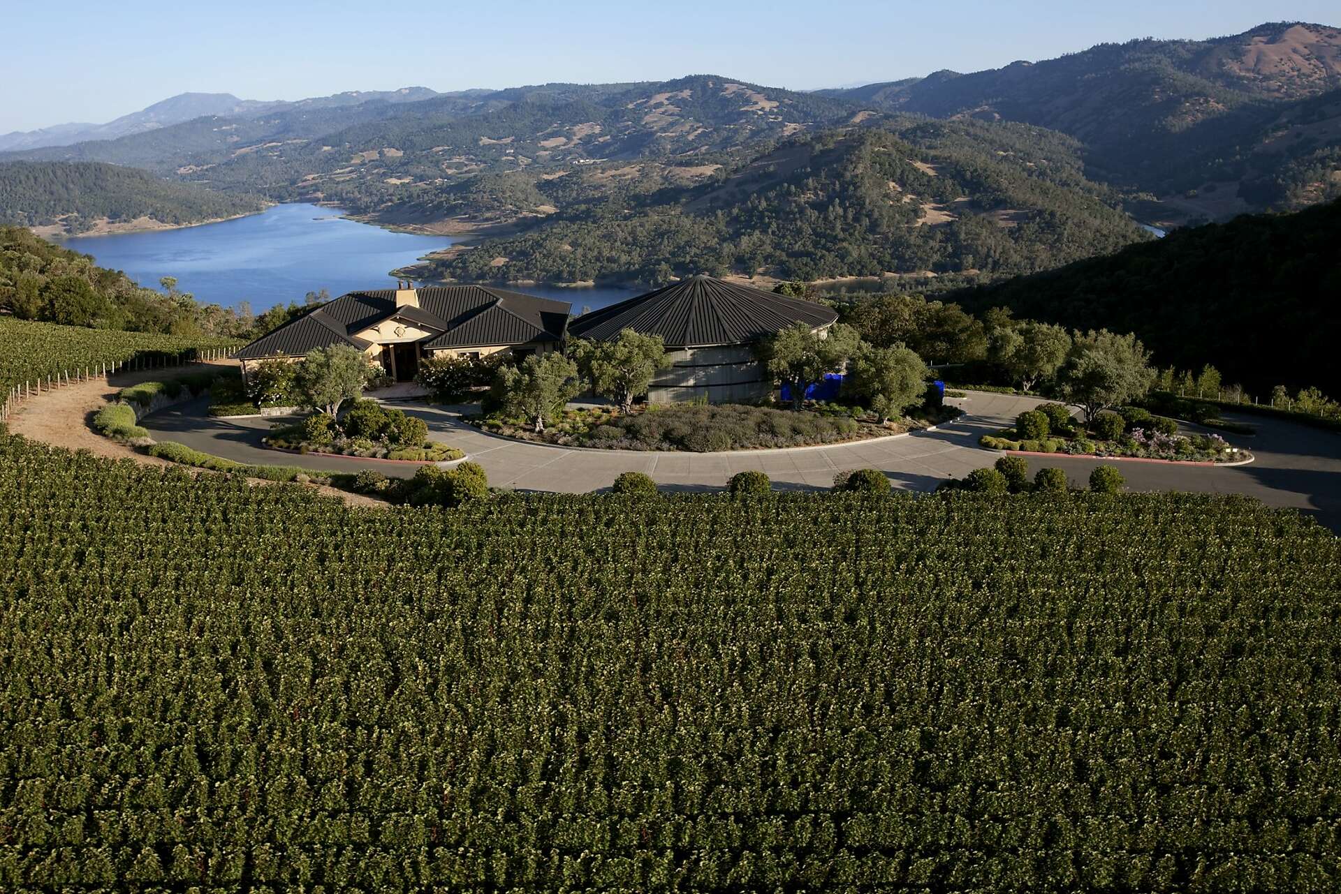 The cult of Cabernet: The paradox of Napa’s most expensive wines