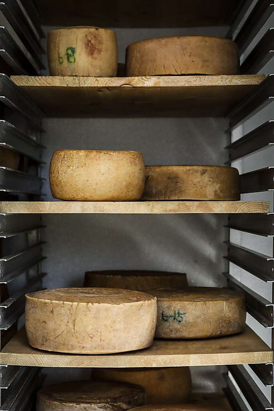 Cream of the crop in Sonoma County cheeses