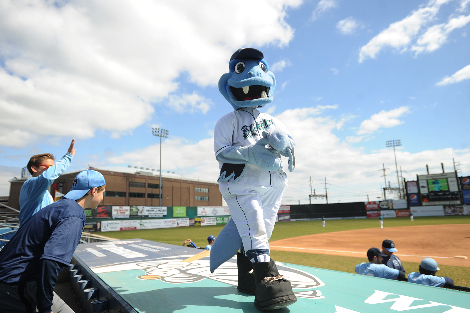 Will this season be the last for Bridgeport Bluefish?