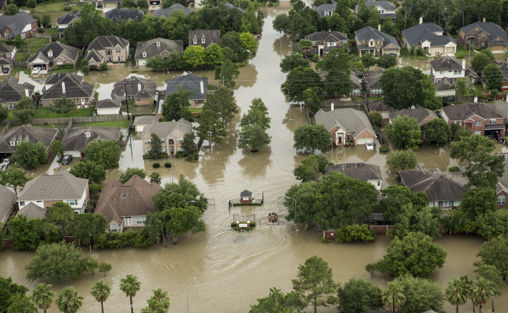Wrecked wetlands lead to flooding. Here's what you can do.