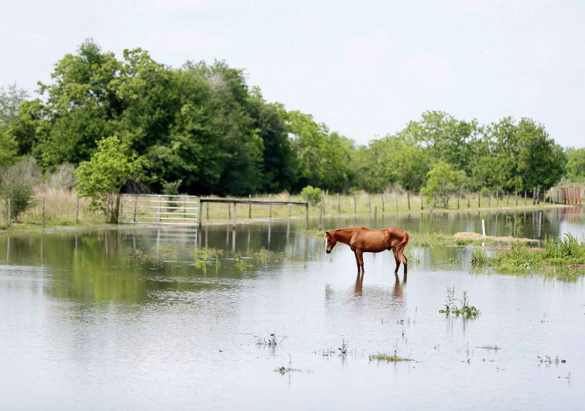 Rescue efforts continue in northwest suburbs