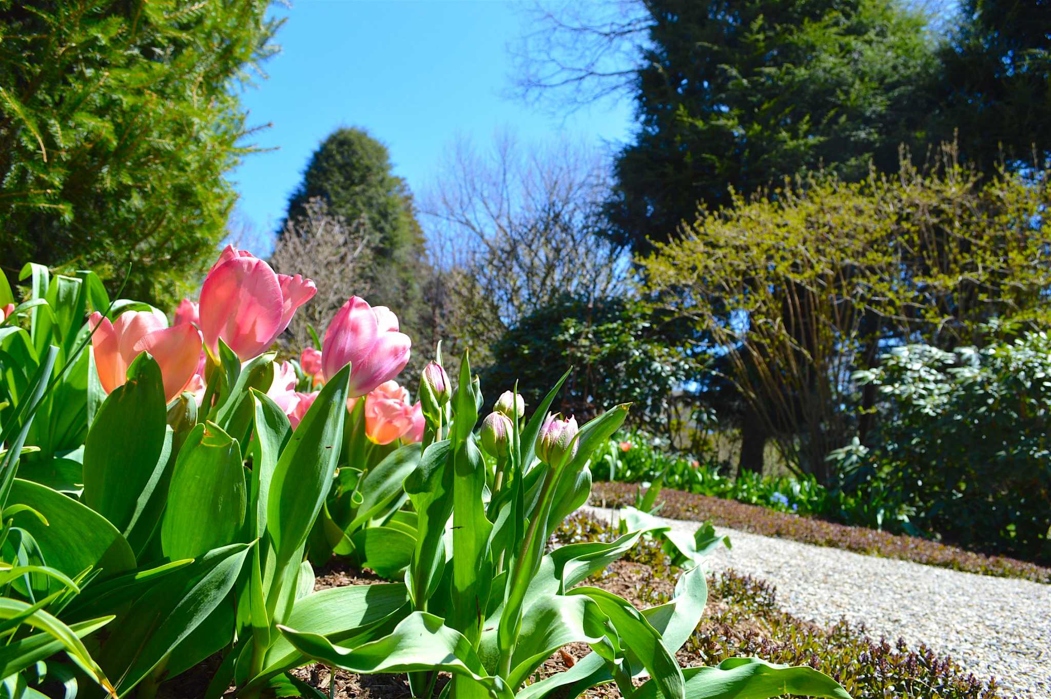 Garden tour benefits Beautification League