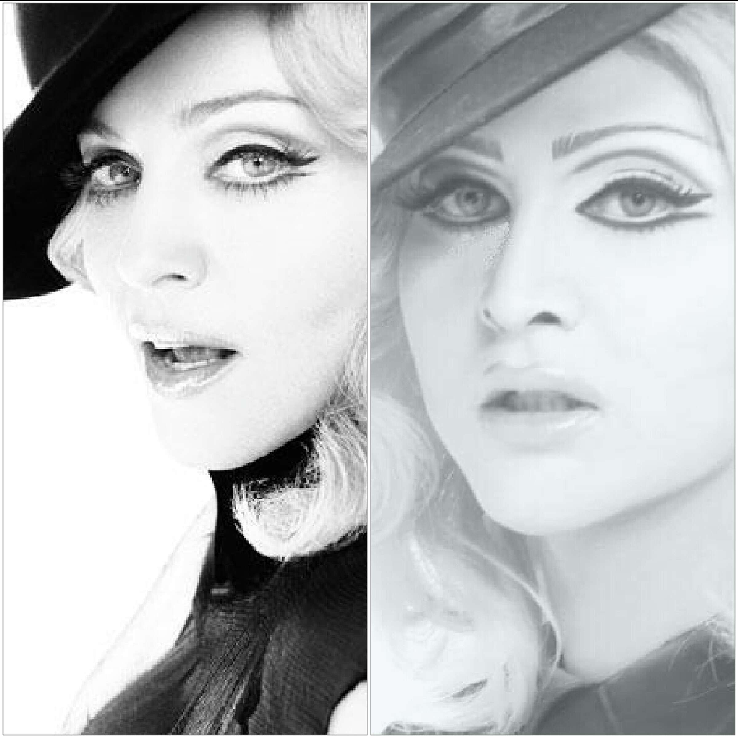 Madonna a profession for Venus D'Lite