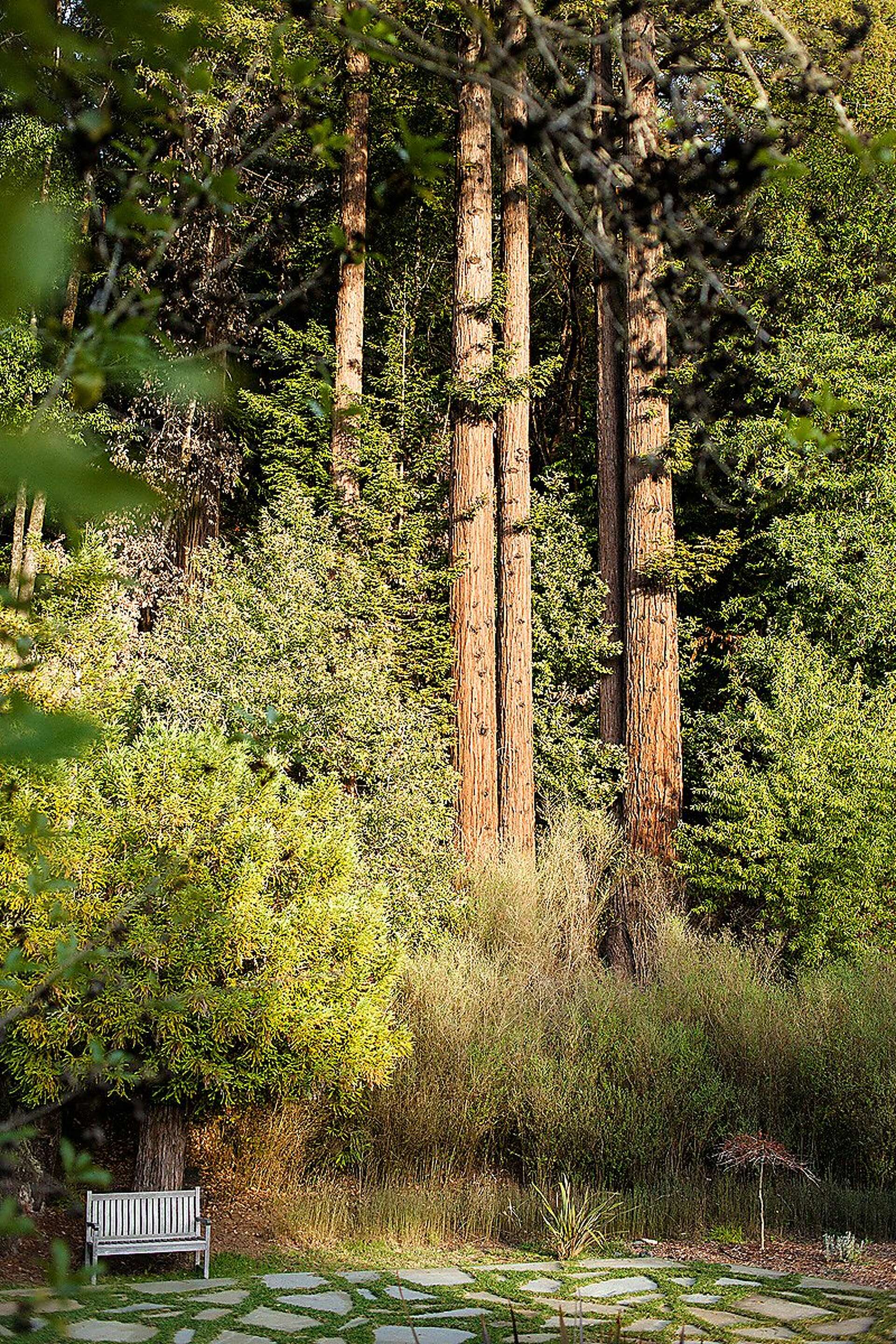 Boon Hotel + Spa: eco-friendly approach to luxury