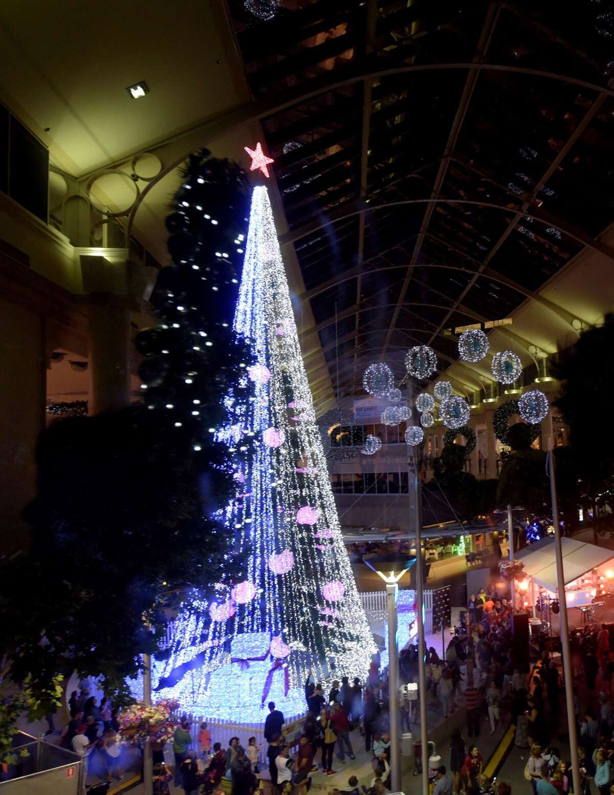 Australian Christmas tree sets record with 518,838 lights