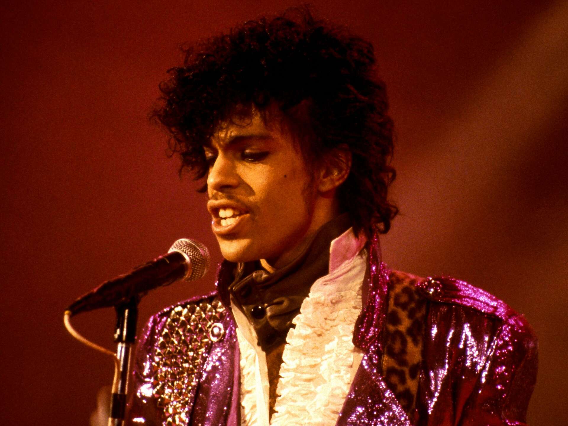 Prince’s fashion reach at the top of dandy rainbow