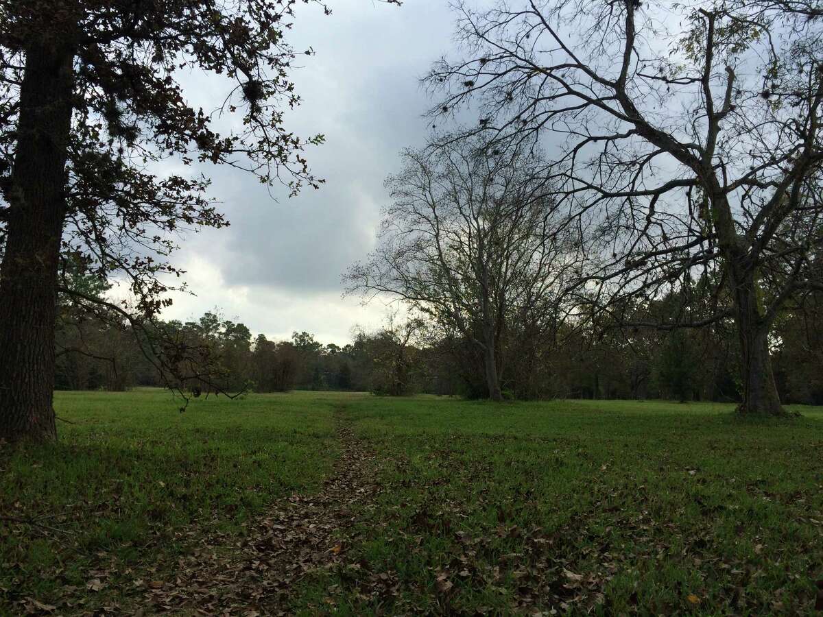 Midway lands first tenants in Memorial Green development