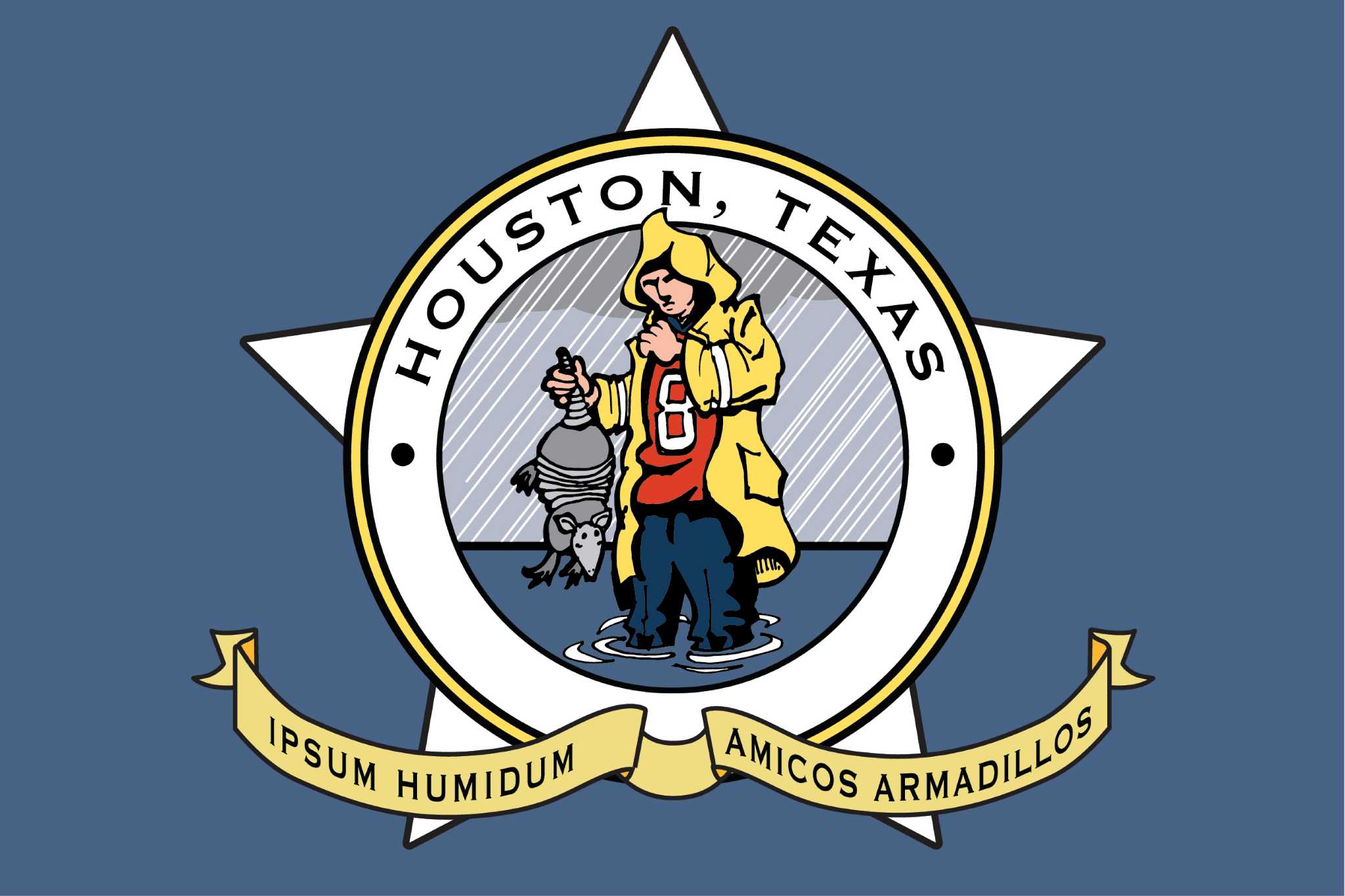 Houston needs a new flag. With a flood. And an armadillo.