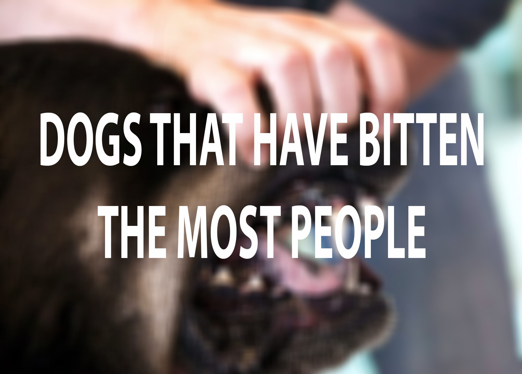 PetBreeds: Dogs that have bitten the most people