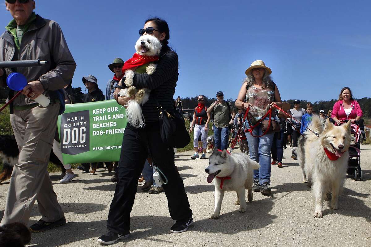 Dogs, owners unleash protest of proposed restrictions in GGNRA