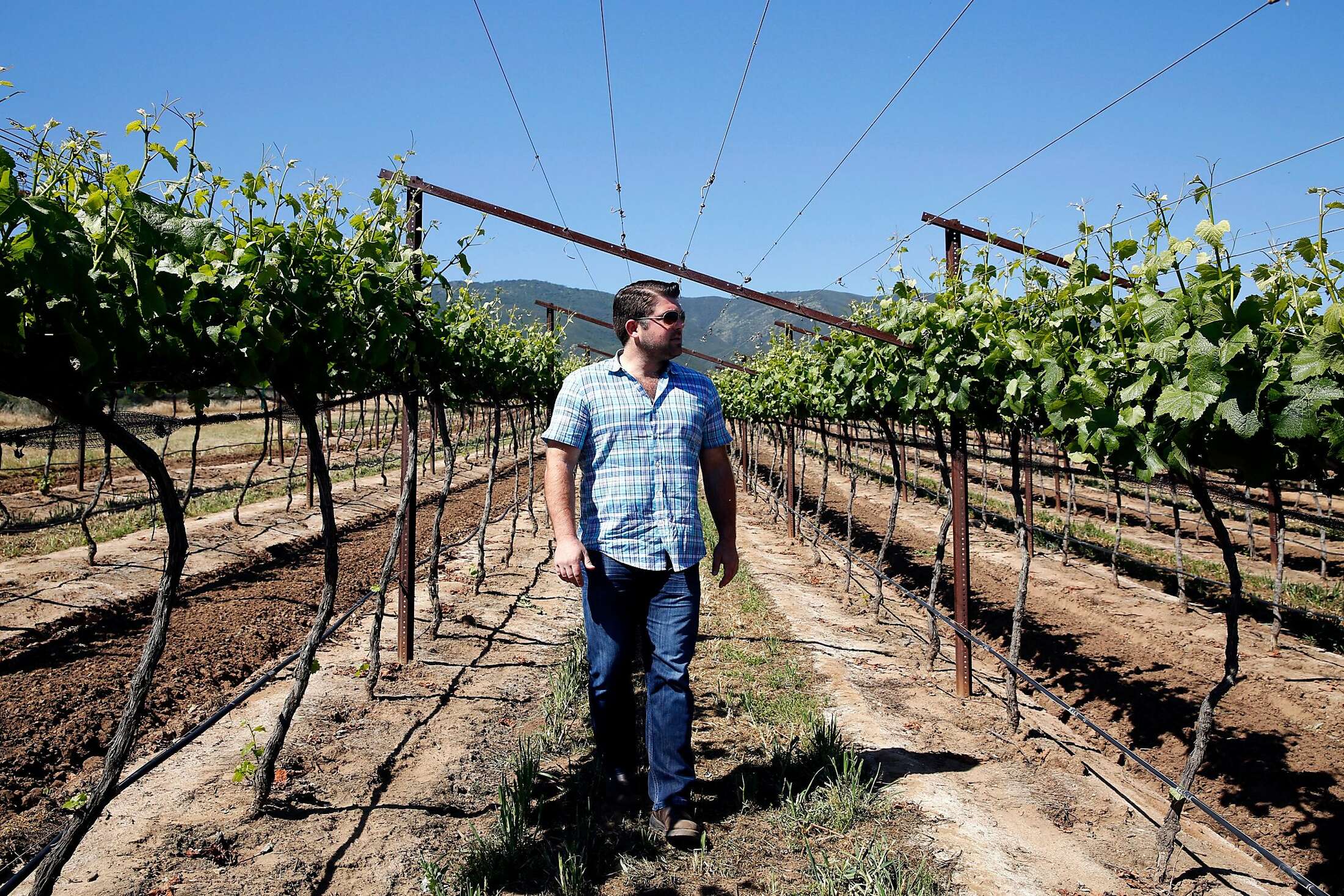 The questions about Joe Wagner’s Oregon wine label scandal that nobody ...
