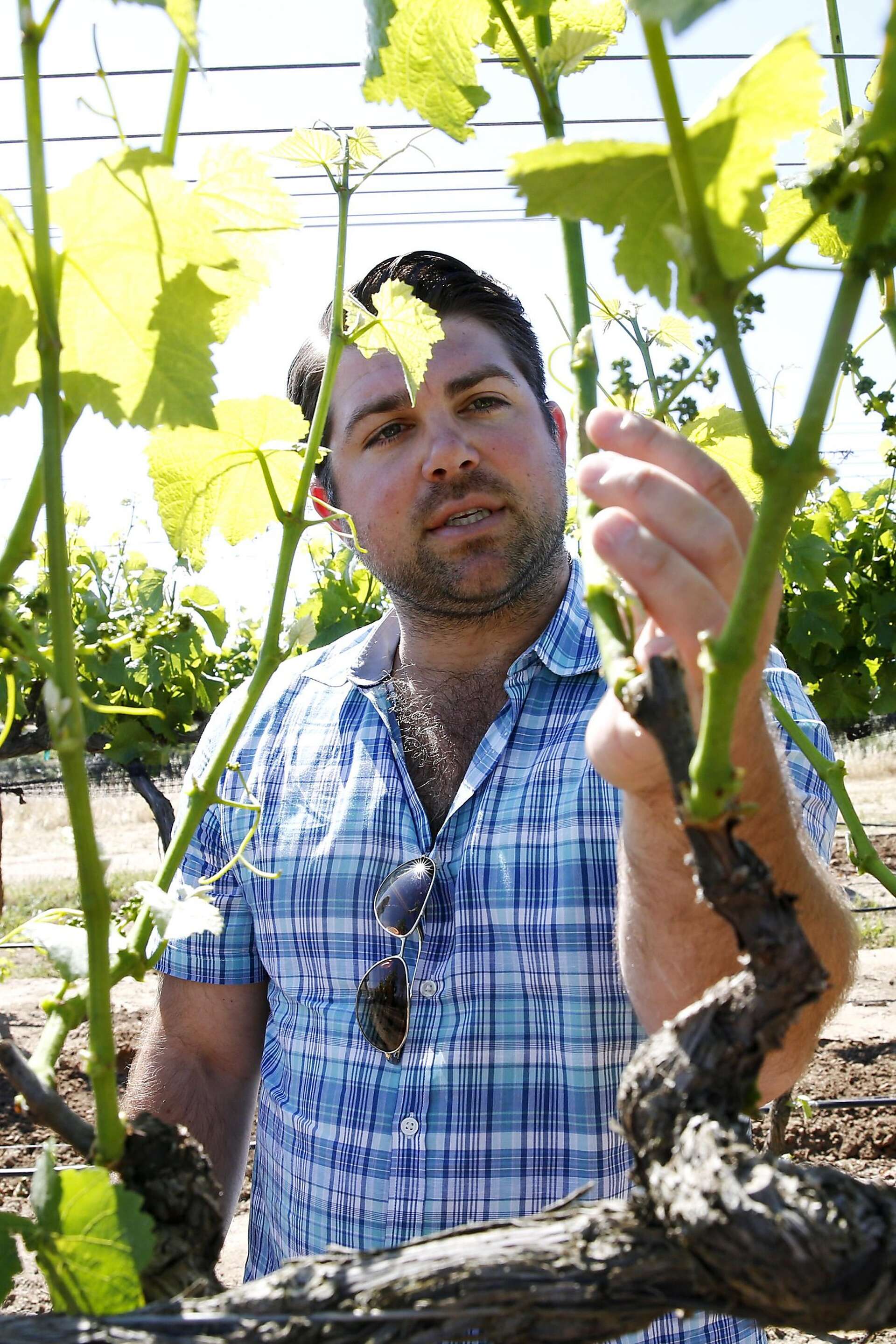 The questions about Joe Wagner’s Oregon wine label scandal that nobody ...