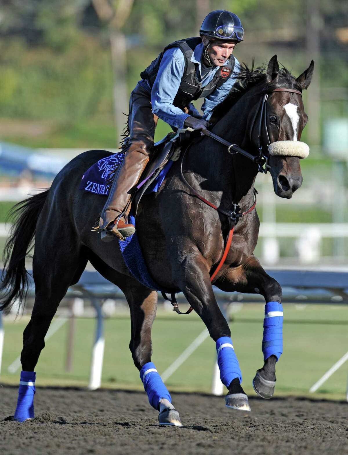 Jockey Ramon Dominguez has no regrets over career